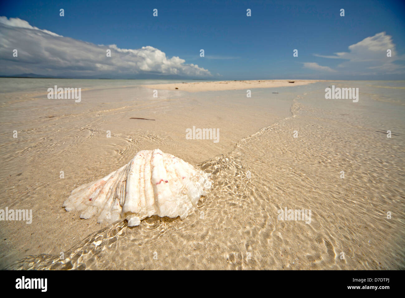 At sea off the island of palawan hi-res stock photography and images ...