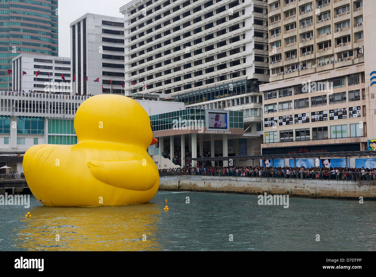 The Rubber Duck Project in Hong Kong Stock Photo - Alamy