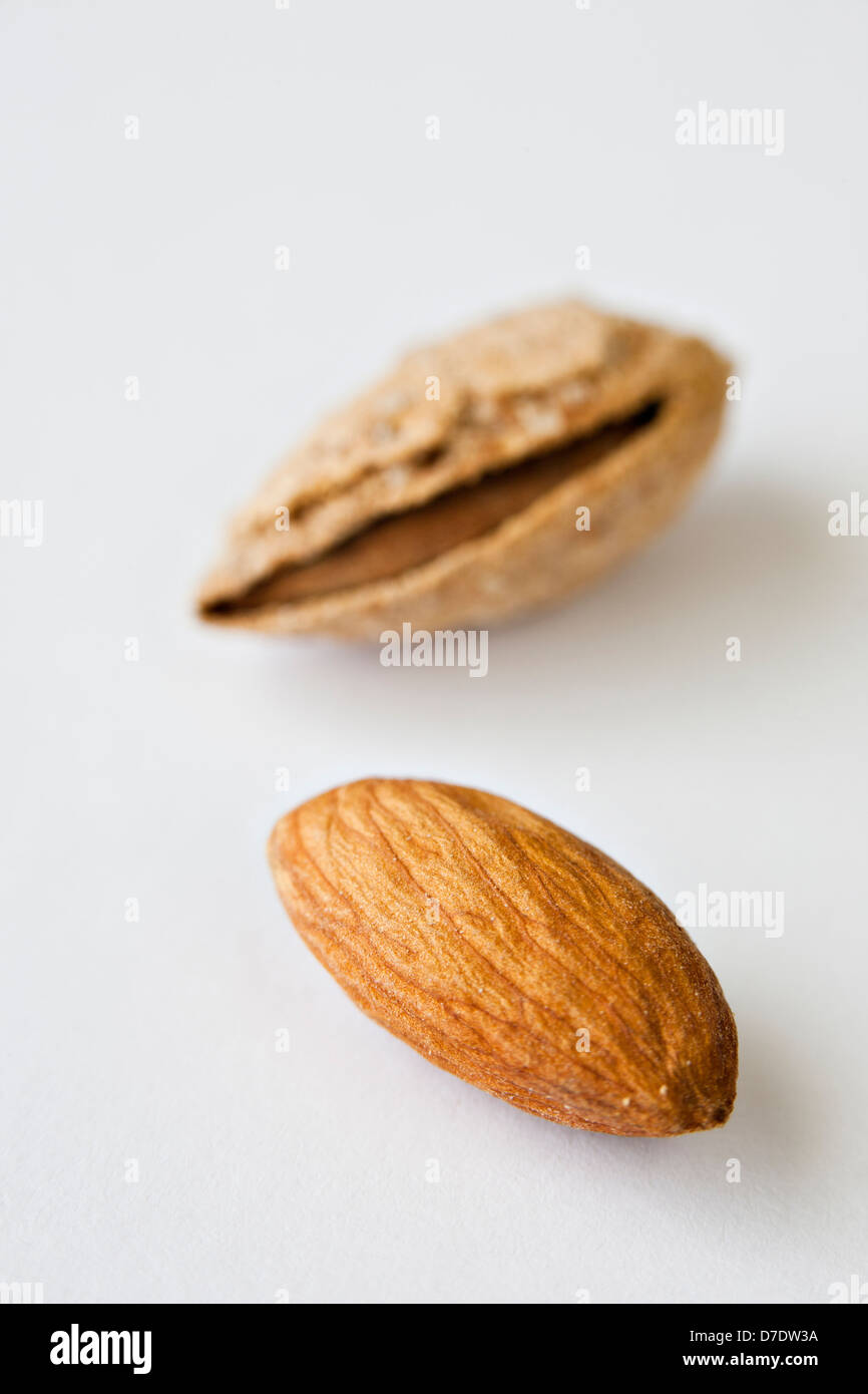 Two almonds hi-res stock photography and images - Alamy