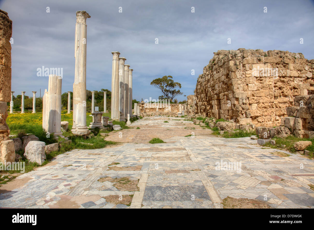 Ancient archoelogical Roman site in Salamis, Cyprus Stock Photo - Alamy