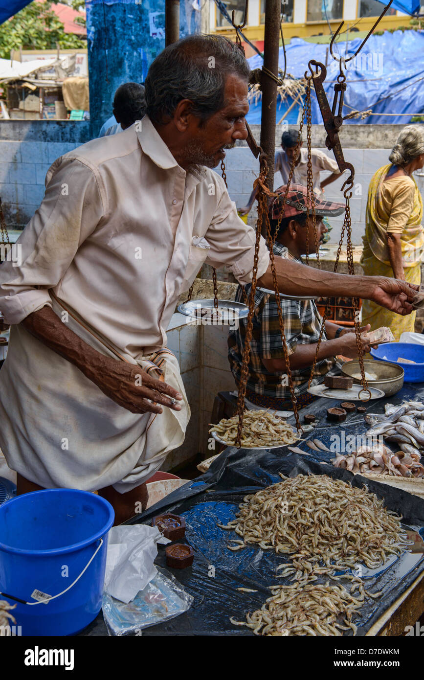 fish vendor at the market of Fort Cochin (Kochi), Kerala, India Stock ...