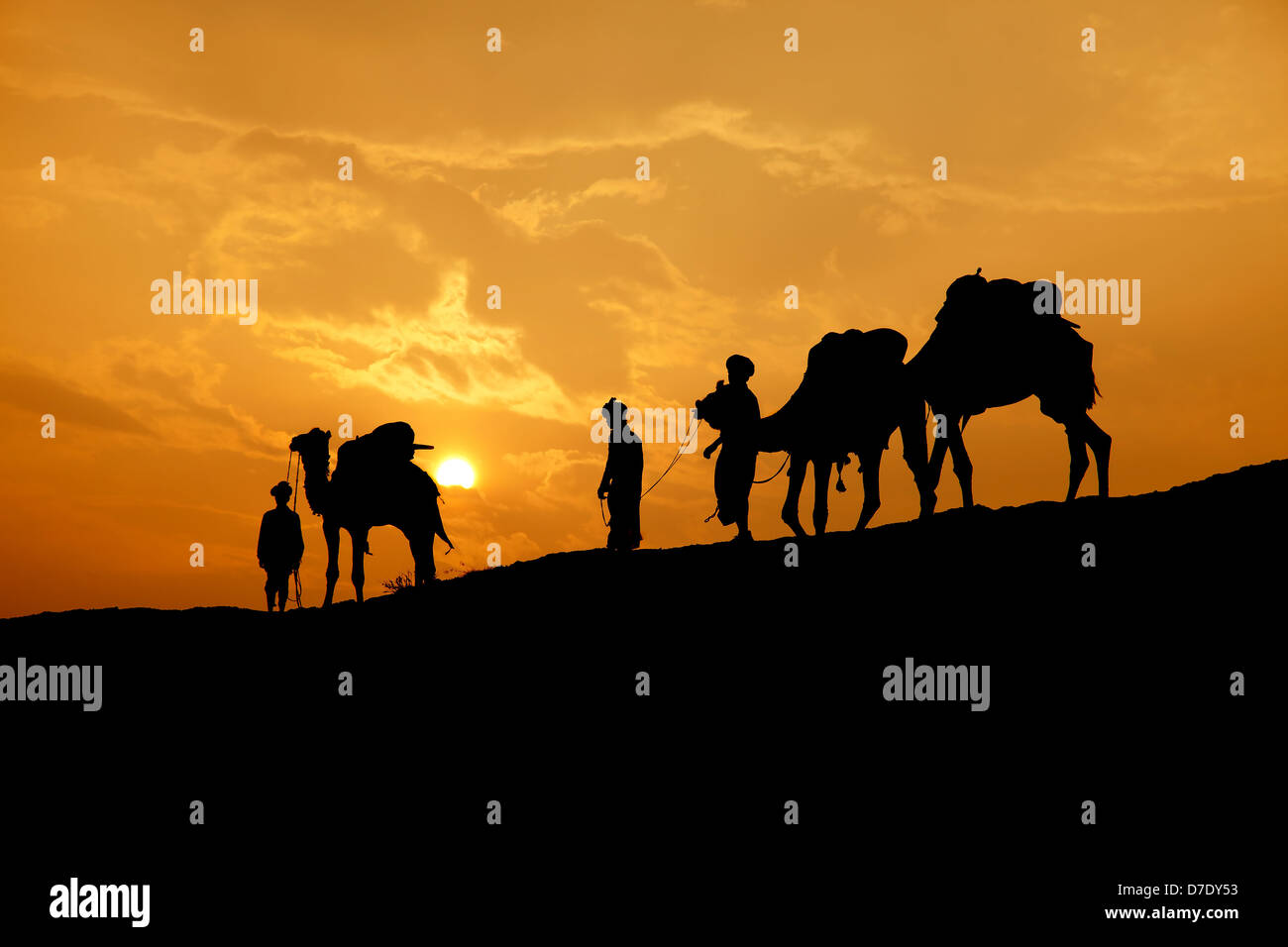 Sunset with Camels Stock Photo - Alamy