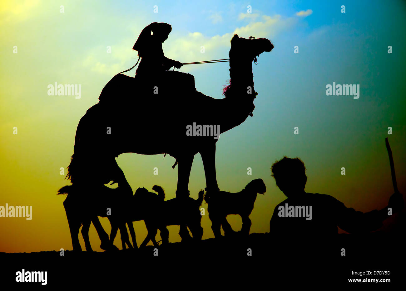 Camel train silhouette sunset desert hi-res stock photography and ...