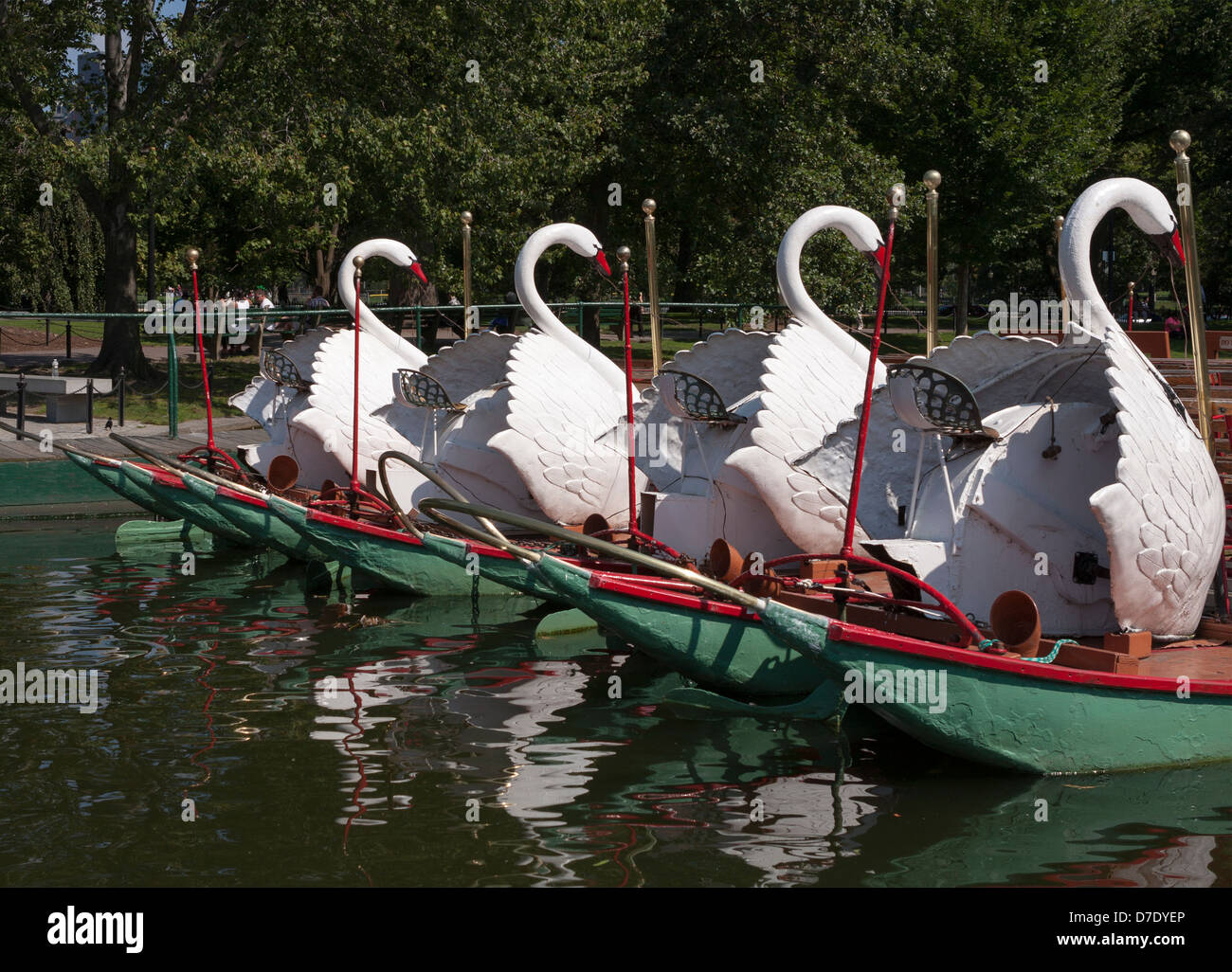 People have been riding the swan boats in Boston Public Garden since ...