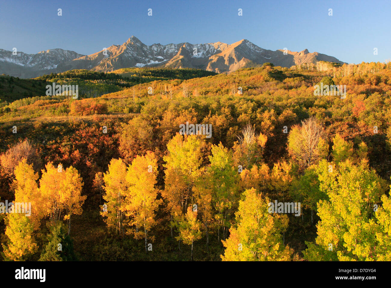 Dallas Divide, Sneffels Range, Colorado, USA Stock Photo - Alamy