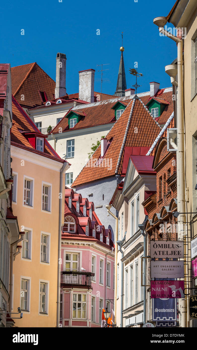 Tallin Medieval High Resolution Stock Photography and Images - Alamy