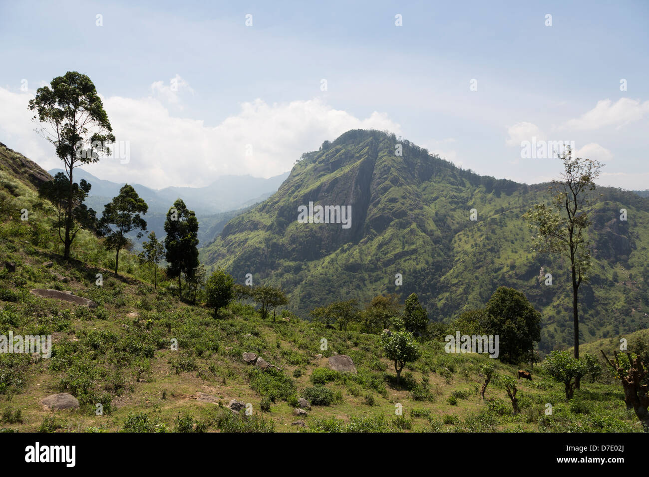 Ella's rock view from Ella little Adam peak, Hill country, Sri Lanka ...