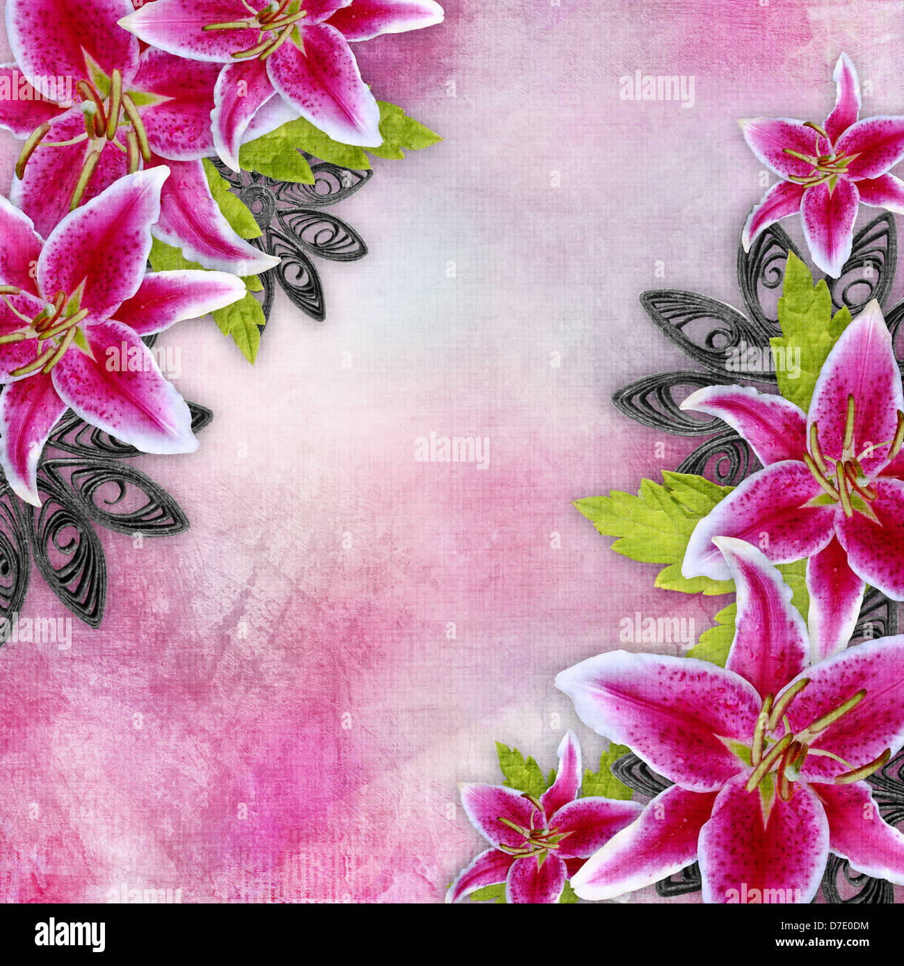 Frame background with lily flowers Stock Photo - Alamy