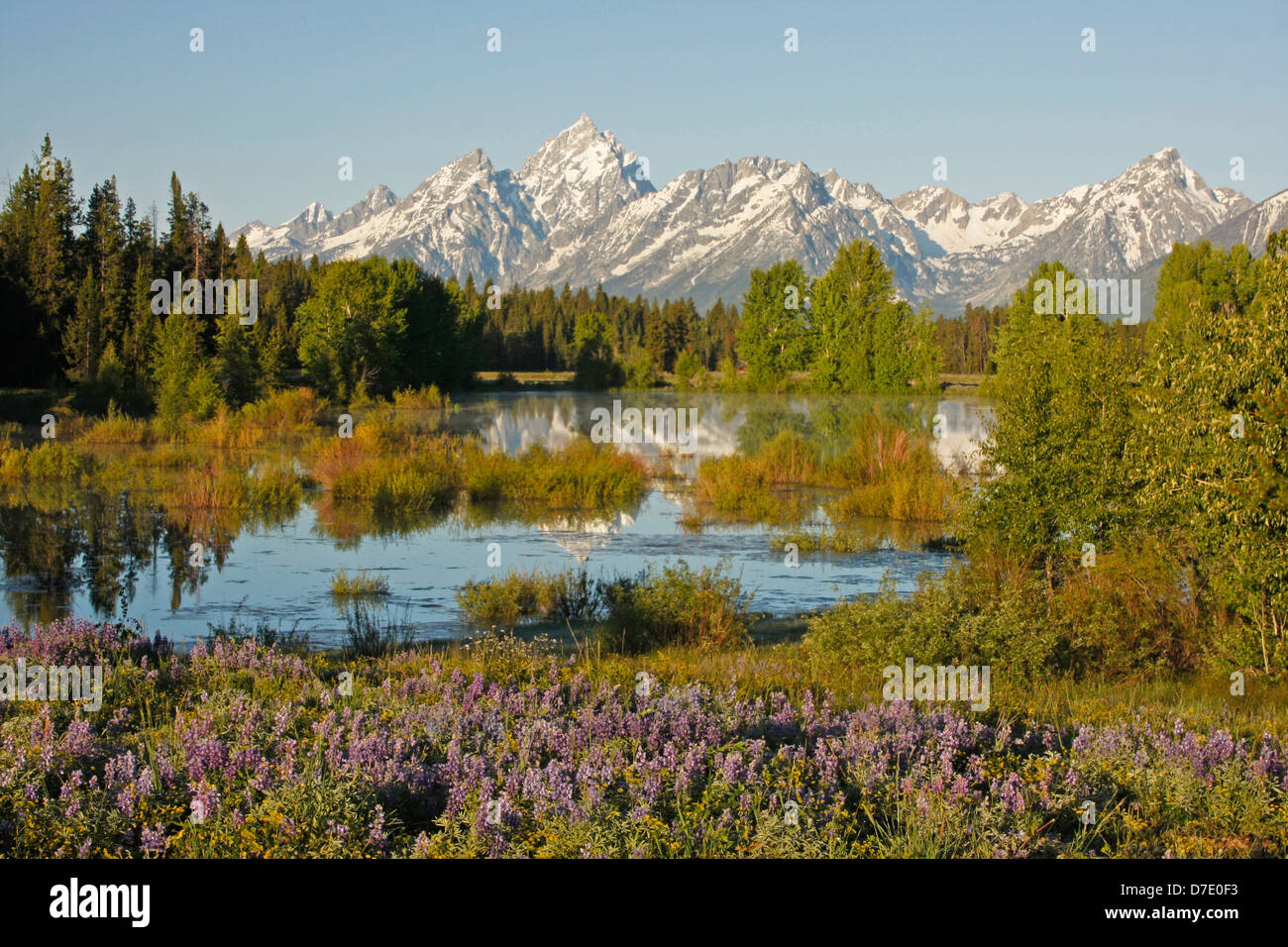 Teton Range, Grand Teton National Park, Wyoming, USA Stock Photo - Alamy