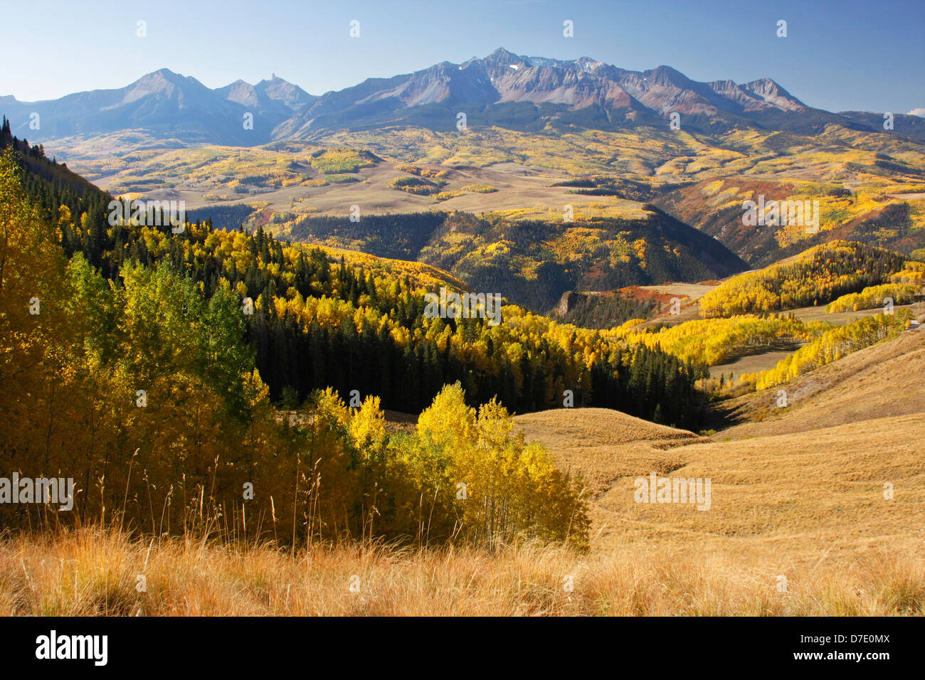 Lizard Head Wilderness, Colorado, USA Stock Photo - Alamy