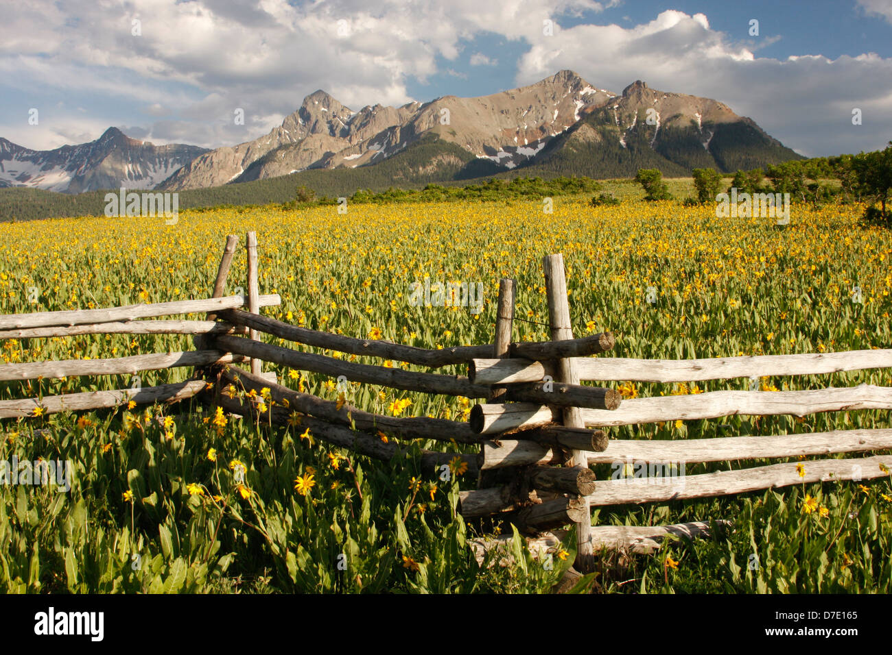 Sneffels Range, Colorado, USA Stock Photo - Alamy