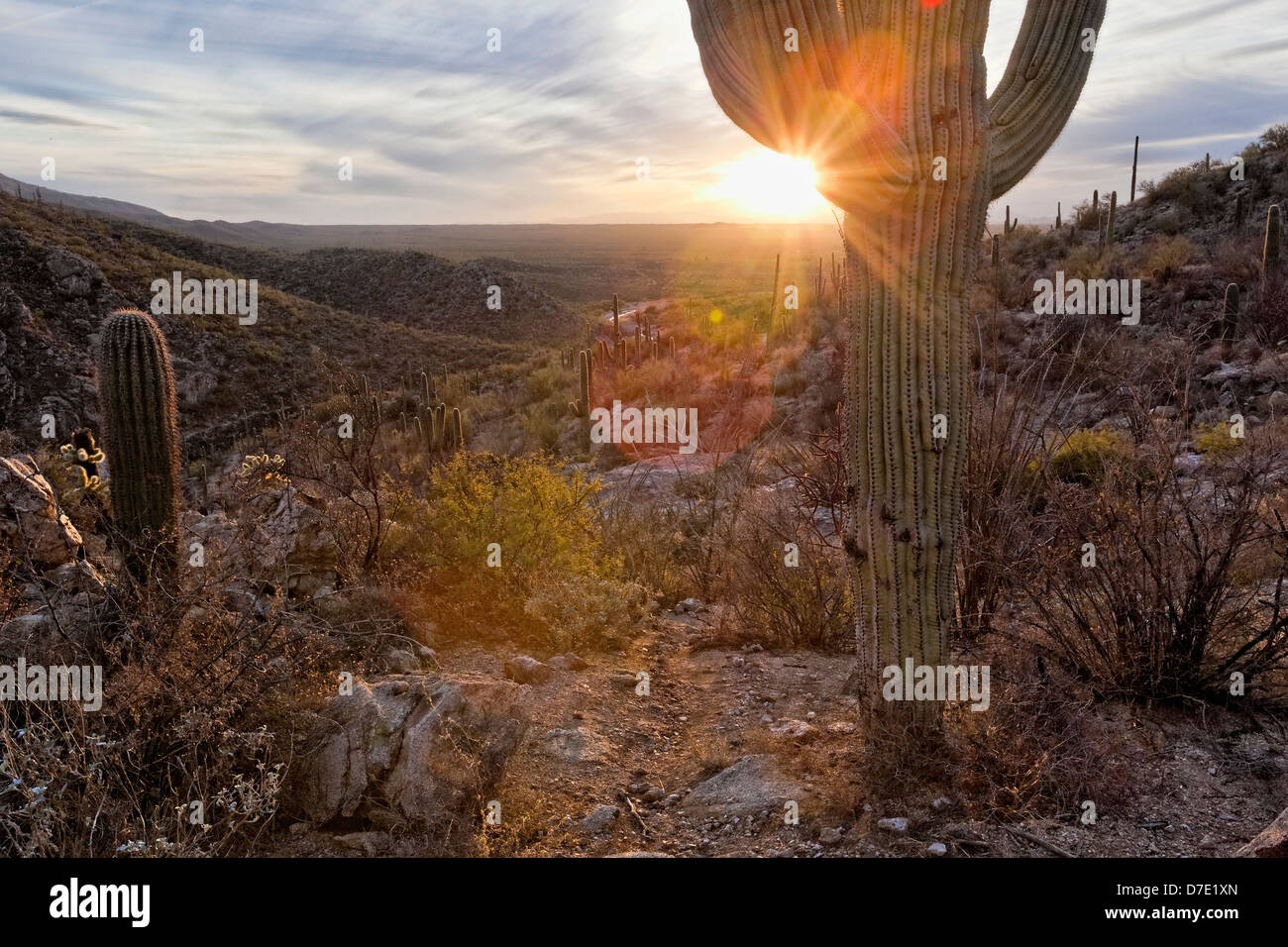 Tanque Verde River Canyon, Tucson, AZ Stock Photo - Alamy