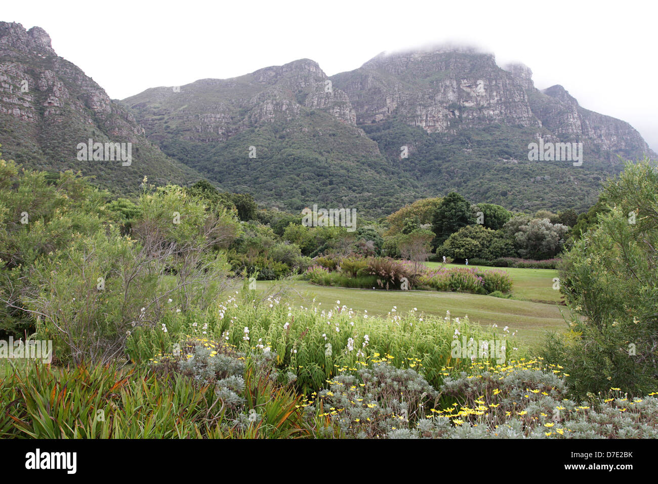 Kirstenbosch gardens hi-res stock photography and images - Alamy