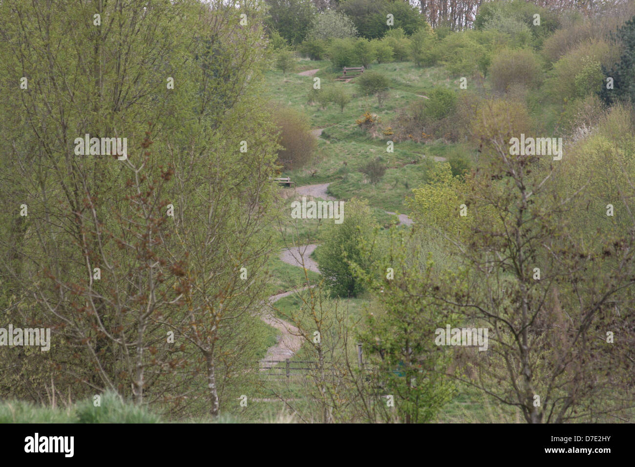 Winding footpath hi-res stock photography and images - Alamy
