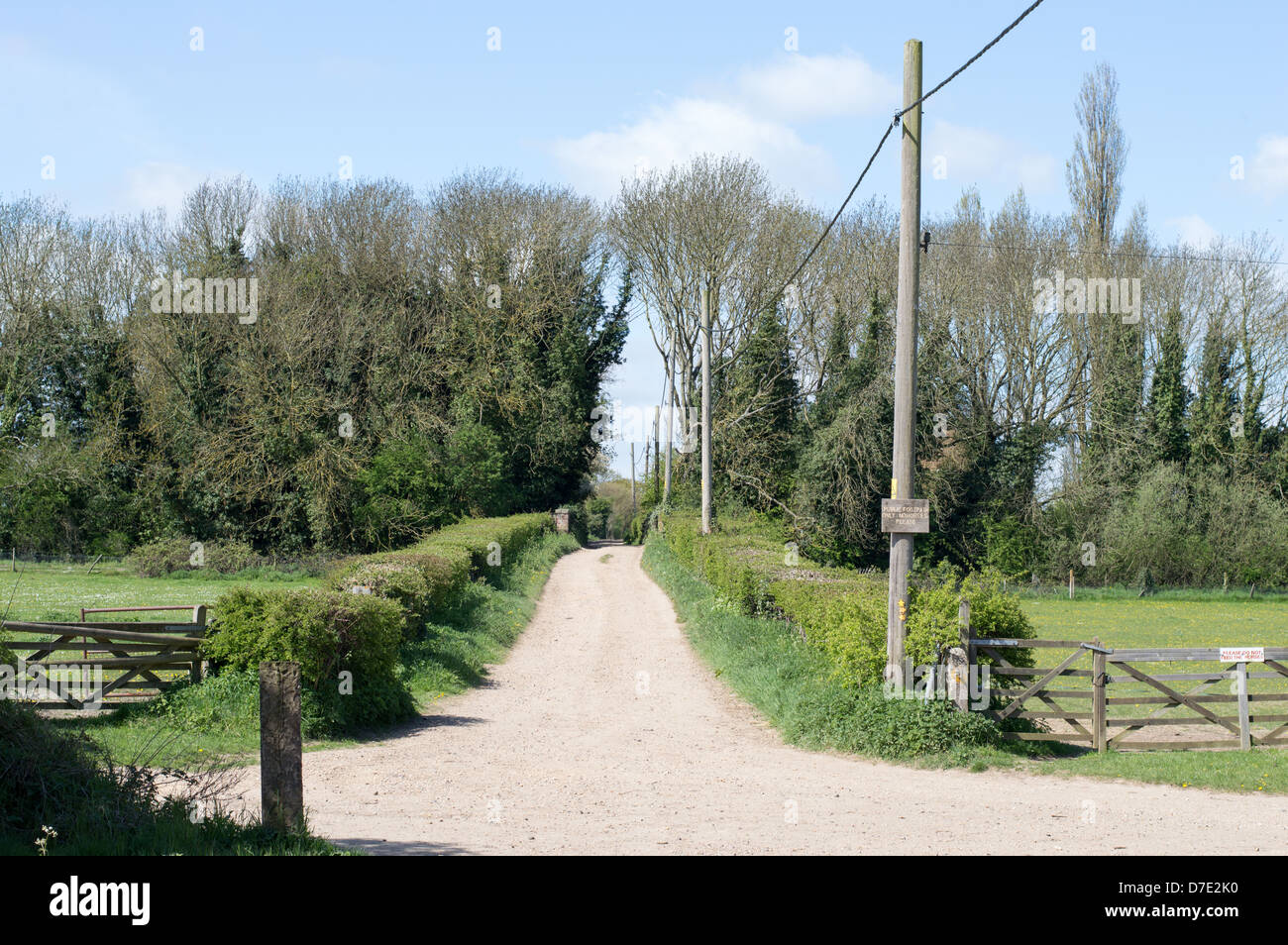 A dry country lane with hedge-rows either side, leading to a distant ...