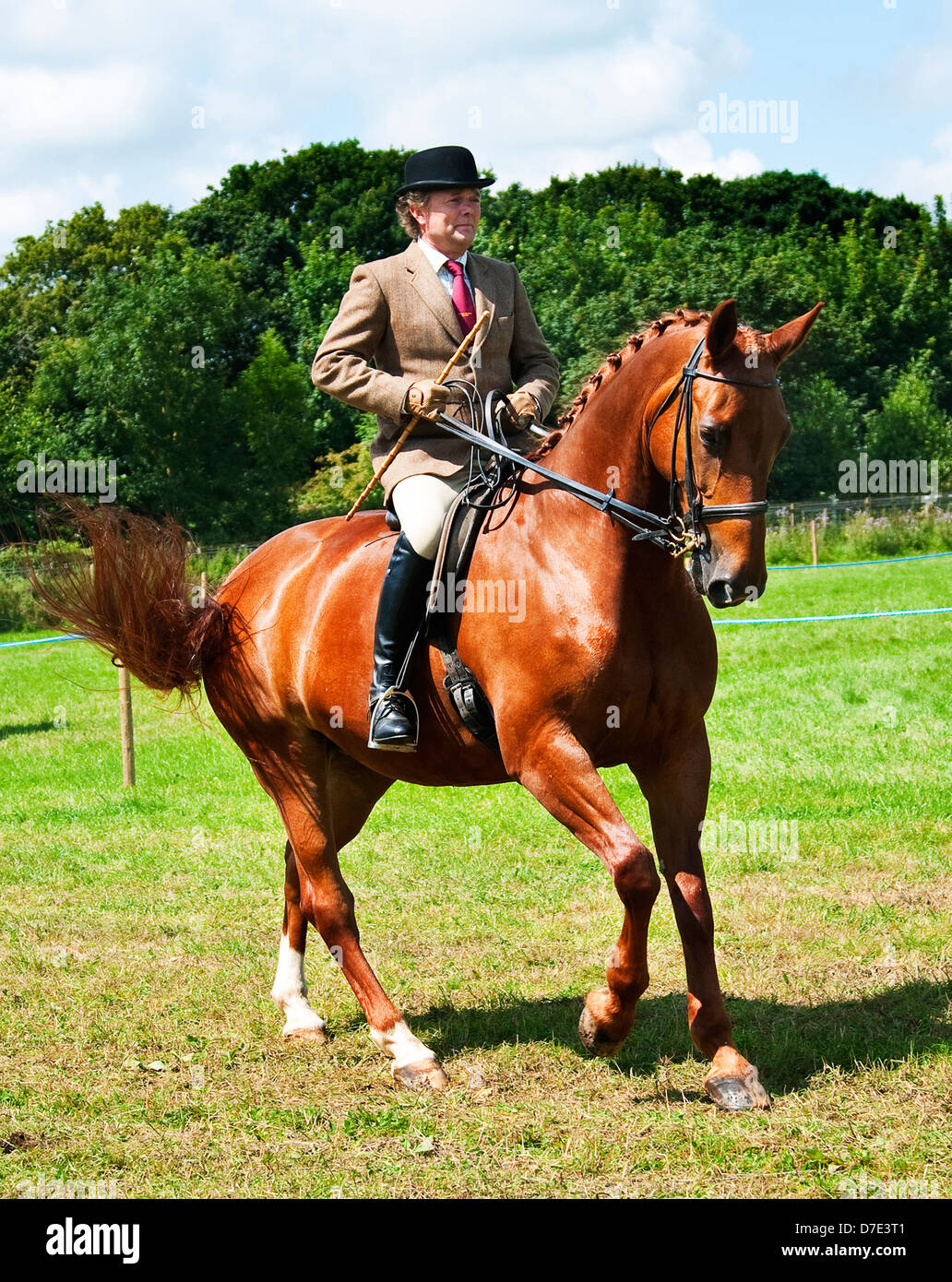 Andy Reeve riding at Launceston show Stock Photo - Alamy