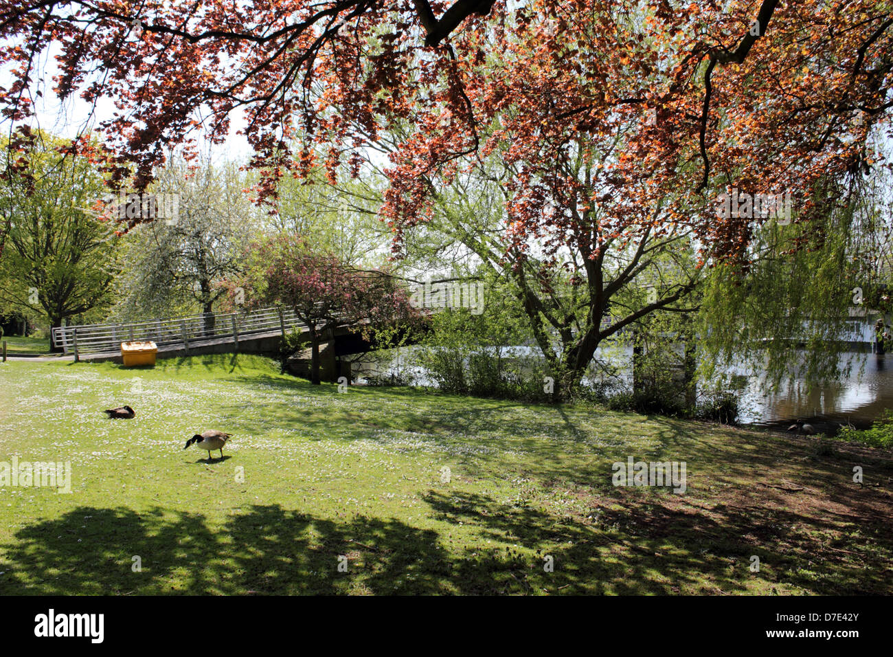 The Thames Riverside at Taggs Island, Hampton, Middlesex, England, UK ...