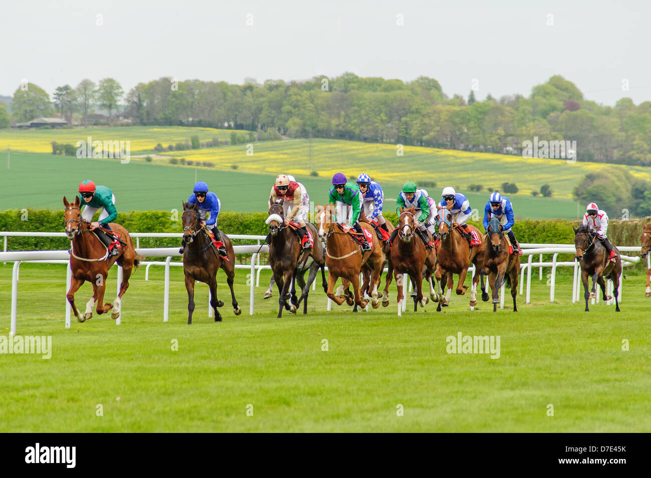 Horse racing salisbury racecourse hi-res stock photography and images ...