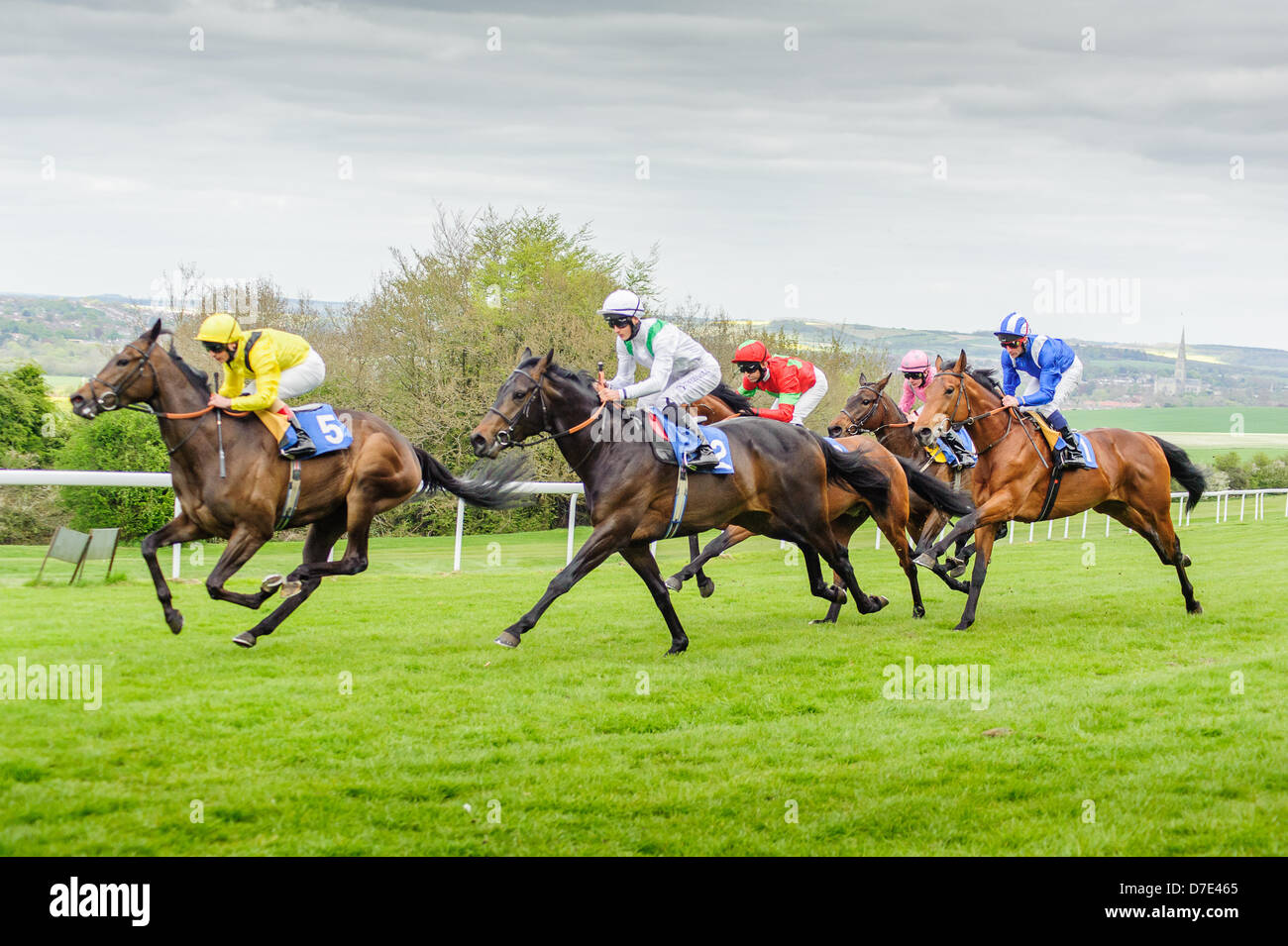Horse racing salisbury racecourse hi-res stock photography and images ...