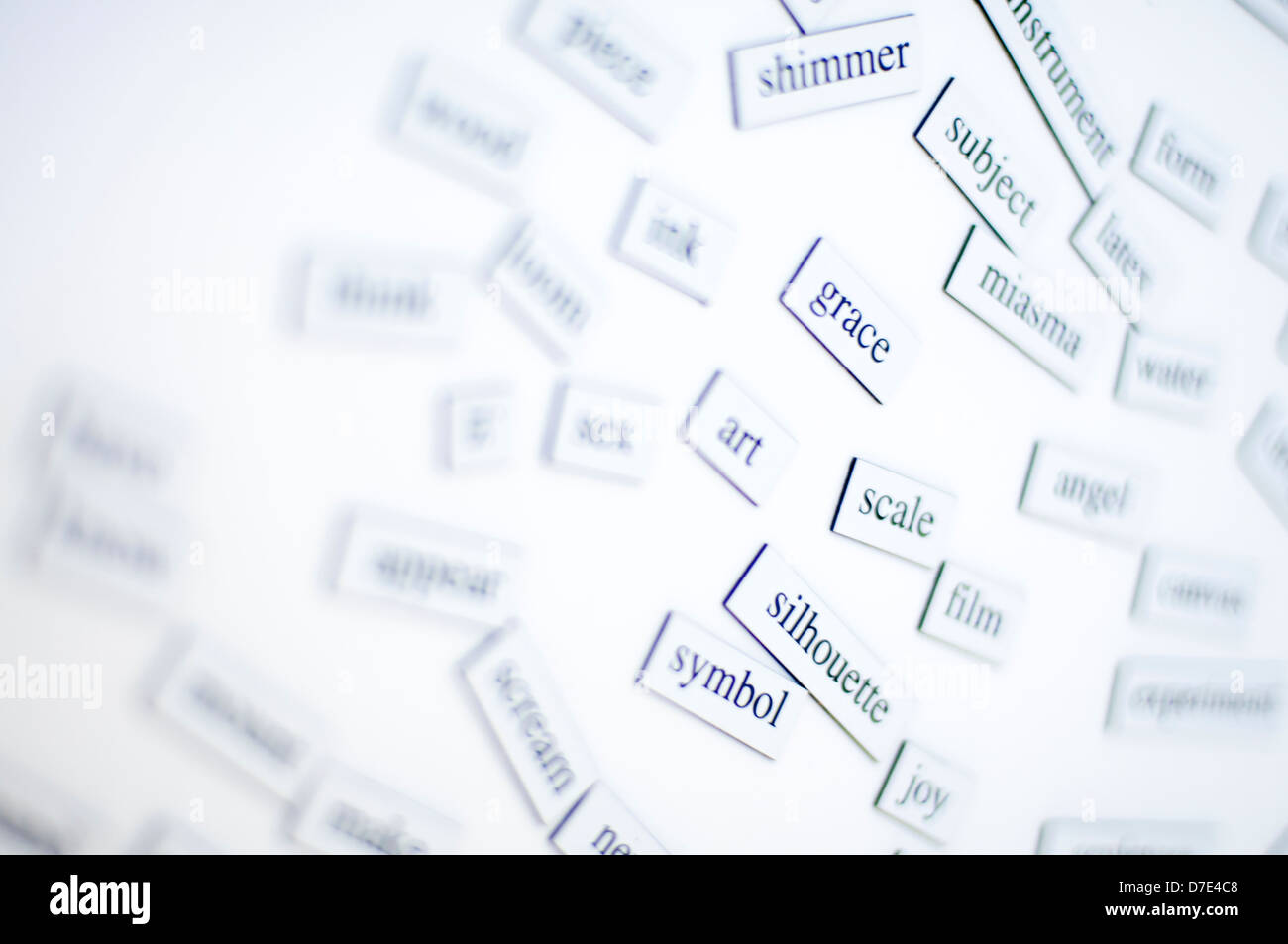 Bunch of random English words. Studying English and training brain ...