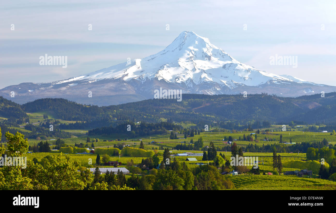 Mt hood hi-res stock photography and images - Alamy