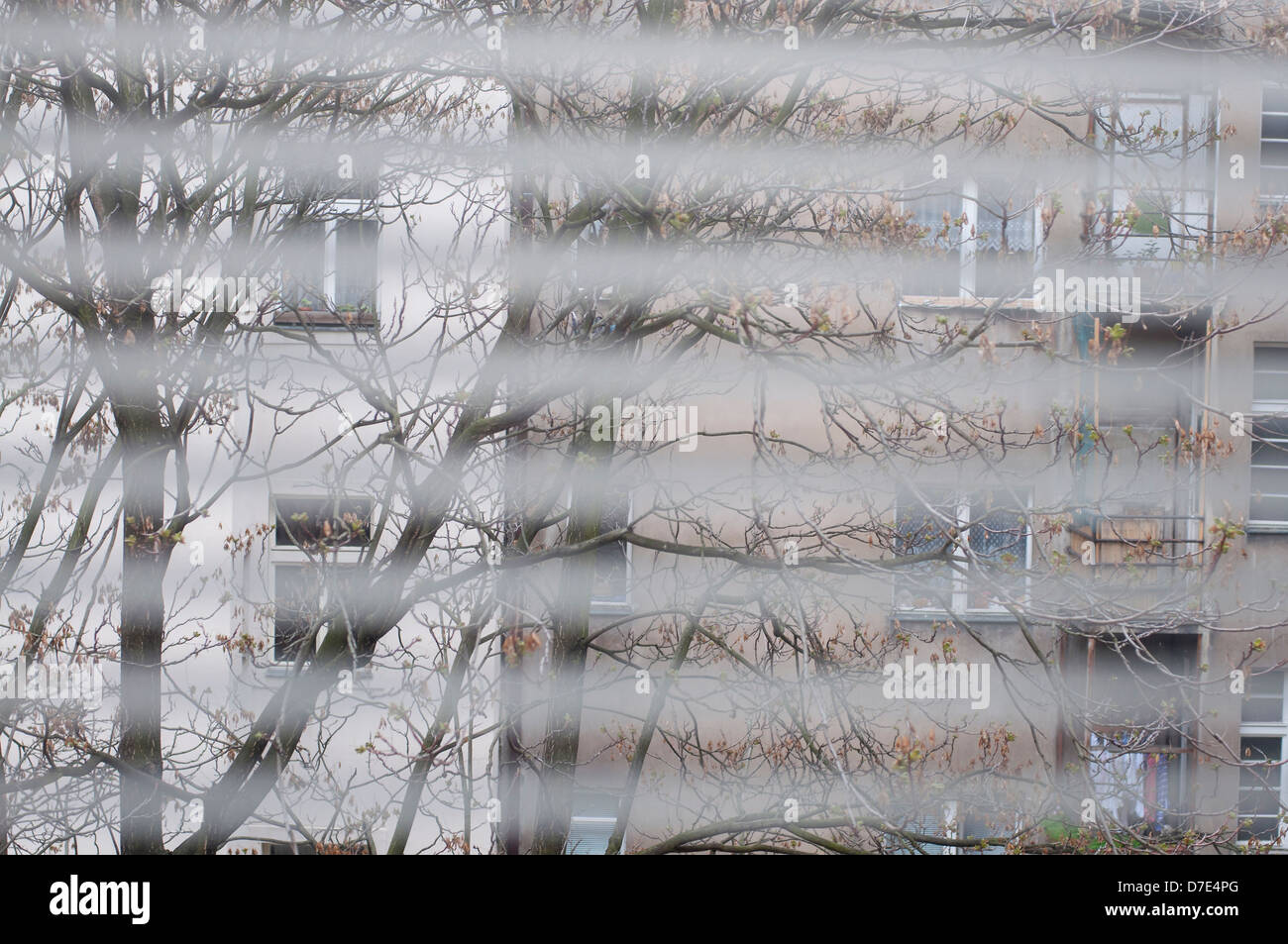 stalking neighbors through window with sunblinds Stock Photo - Alamy