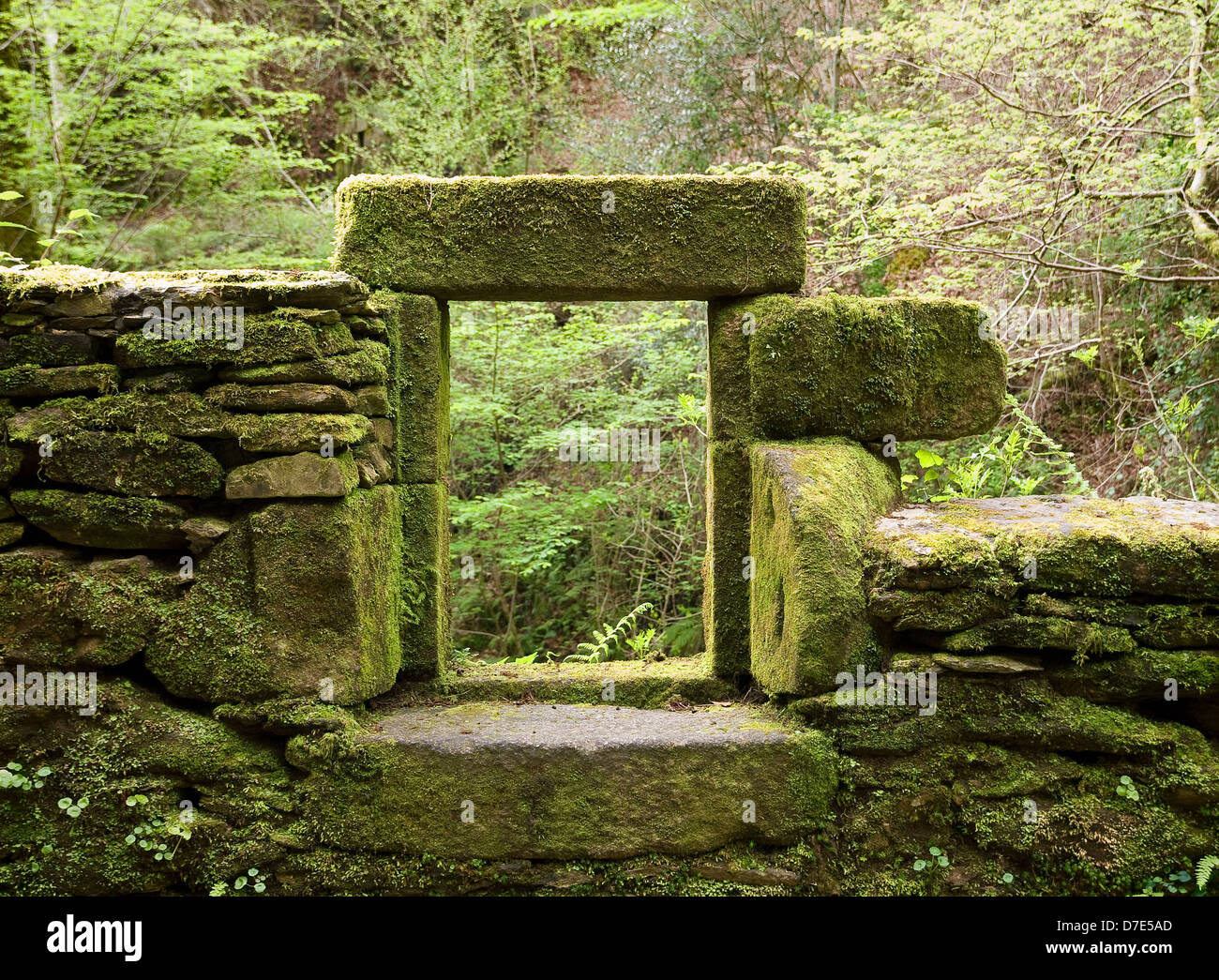 window frame in a house in ruins. This window is in nature Stock Photo ...