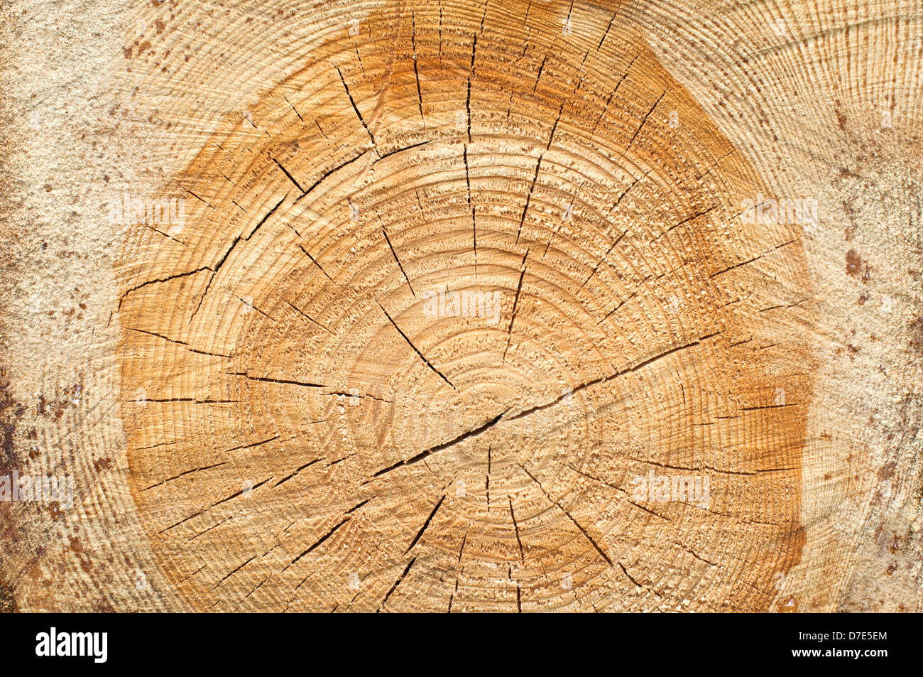 Background of split wood. Close up wood texture Stock Photo - Alamy
