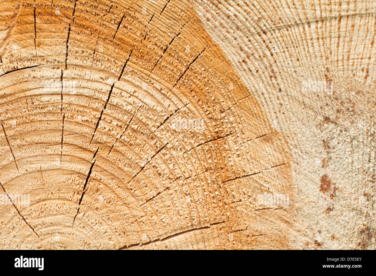 Background of split wood. Close up wood texture Stock Photo - Alamy