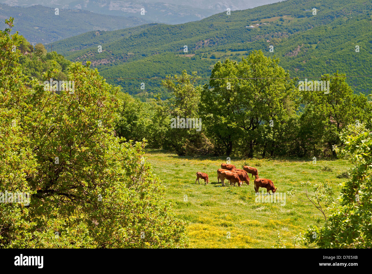 Rustic scenery hi-res stock photography and images - Alamy