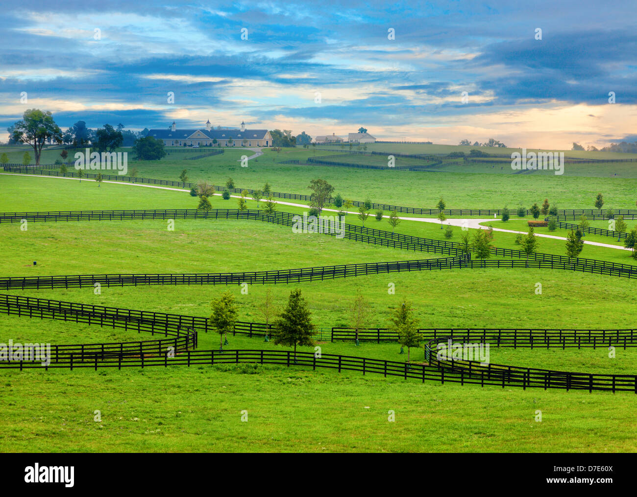 Horse farm country Stock Photo - Alamy