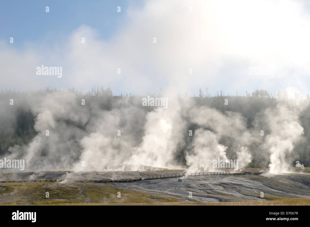 Blue sky morning view many white steam columns rising geysers, Geyser ...