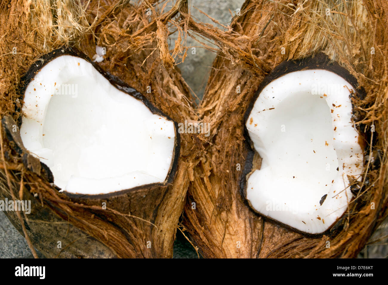 a coconut split in half Stock Photo - Alamy
