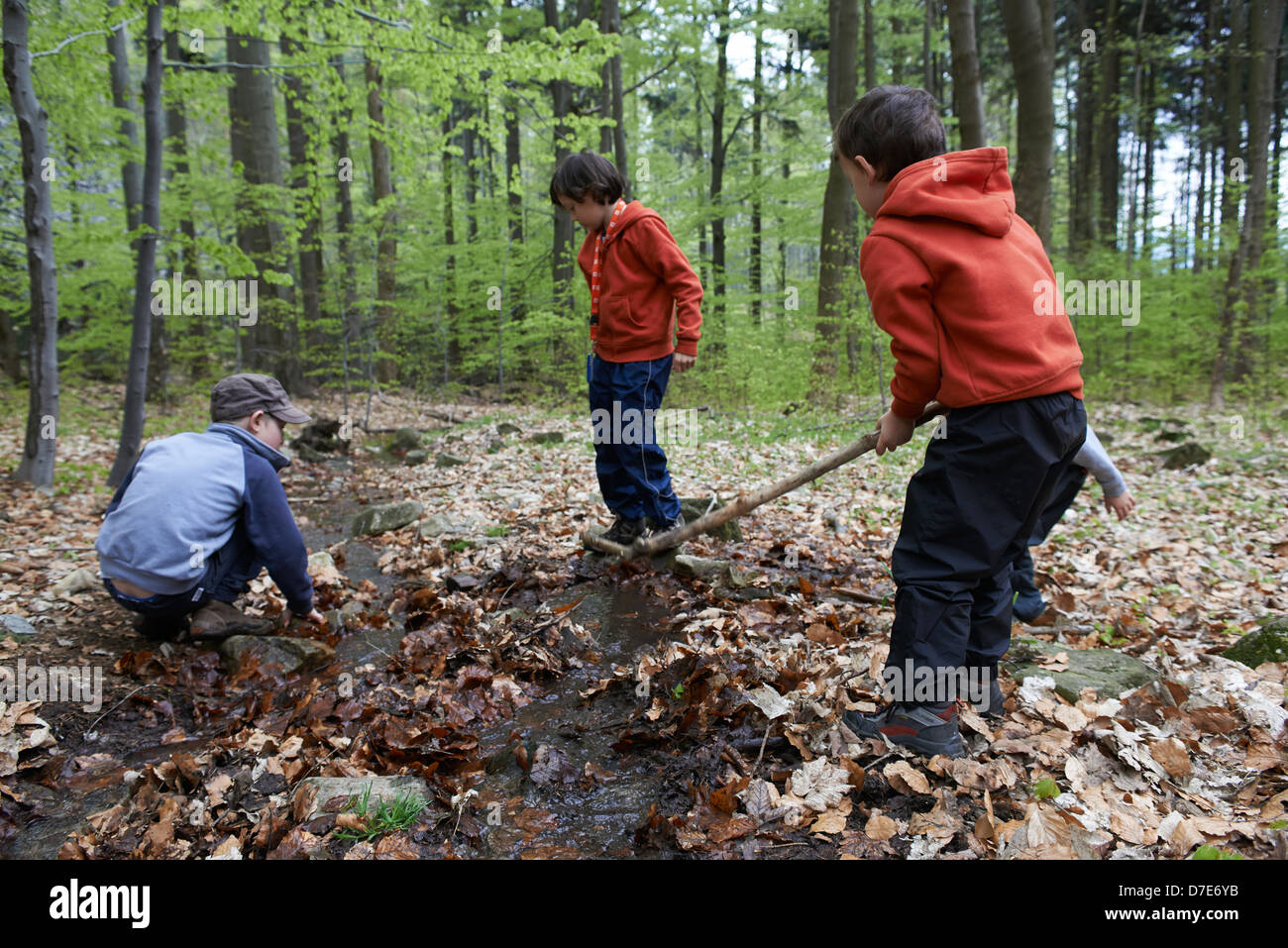 Children exploring in forest - boys playing outdoors Stock Photo - Alamy