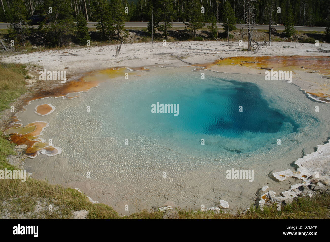 White sinter geyserite shoreline orange red bacteria mats hi-res stock ...
