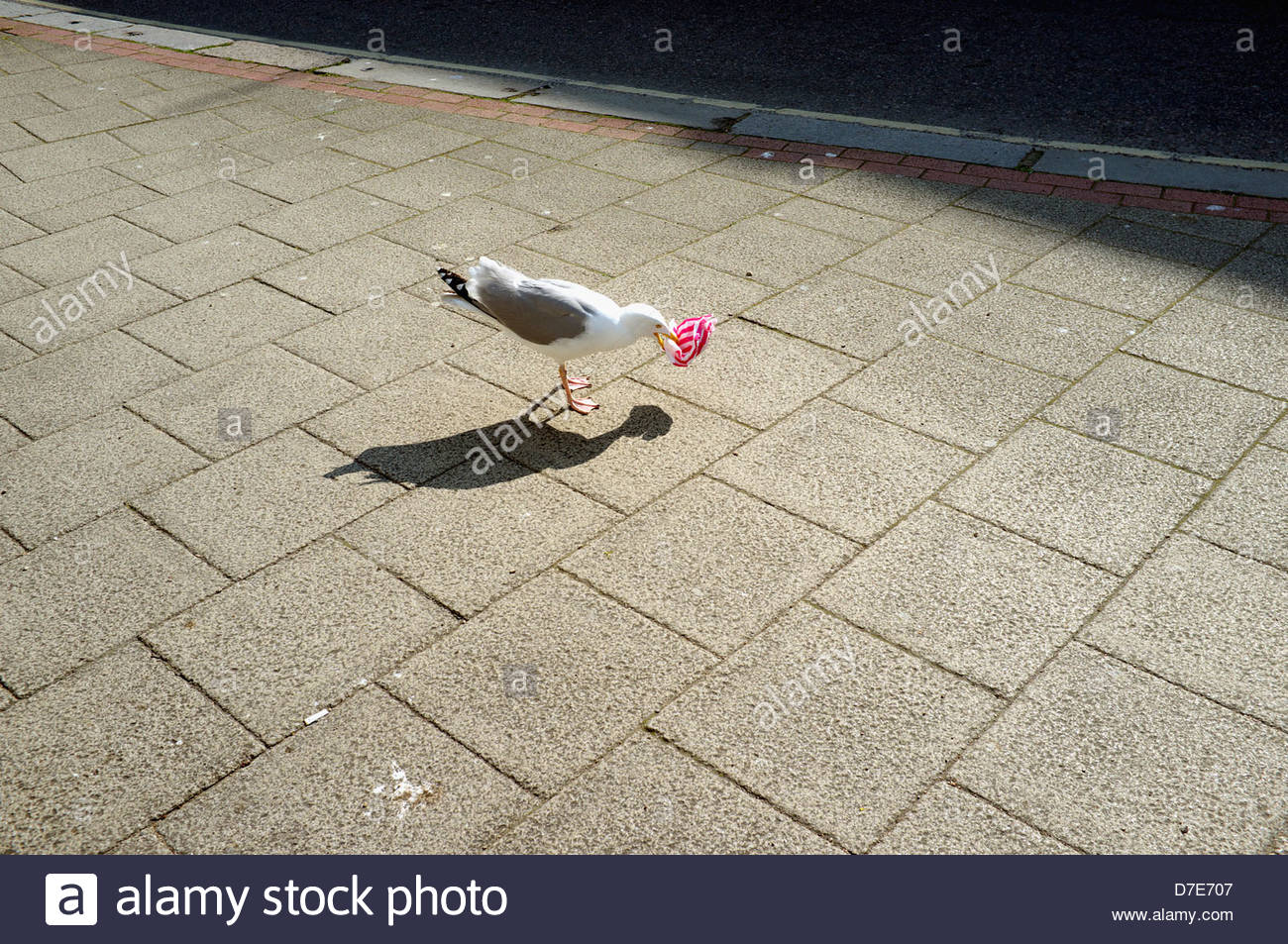 Pest Waste High Resolution Stock Photography and Images - Alamy