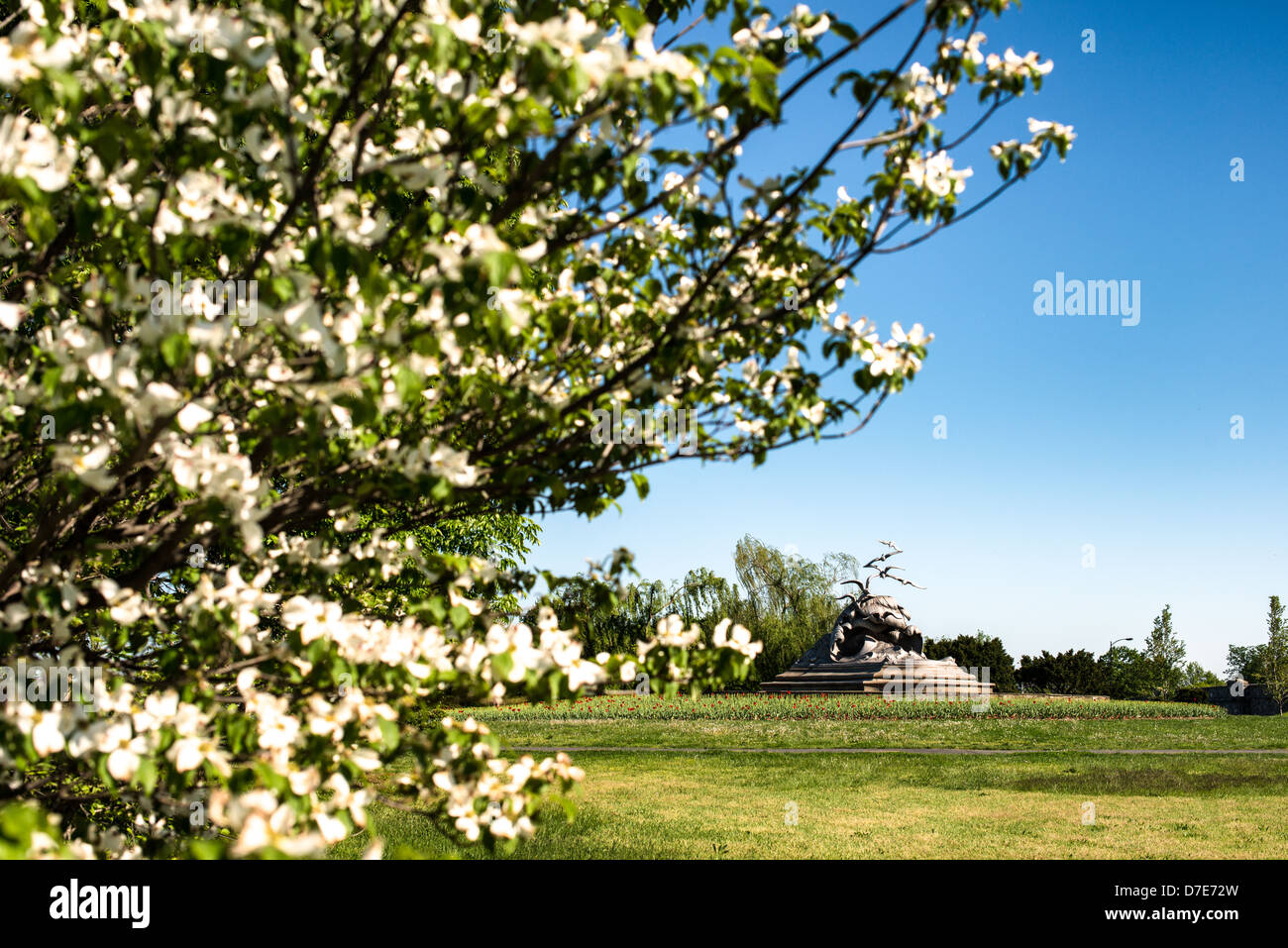 Navy-Merchant Marine Memorial Spring Blossoms Arlington Virginia ...