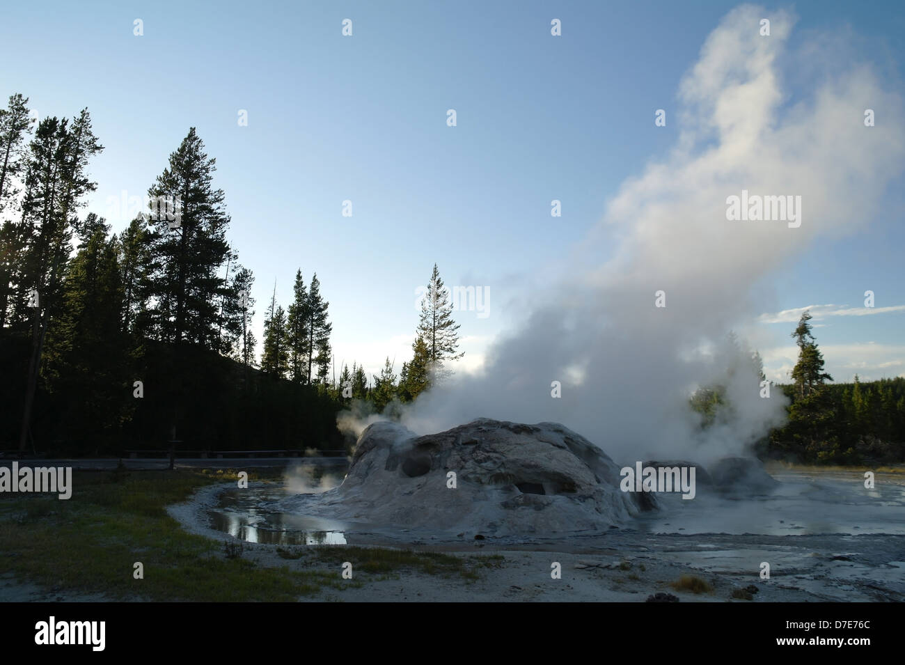 Blue sky dawn view, north to silhouette pine trees, tall steam column ...