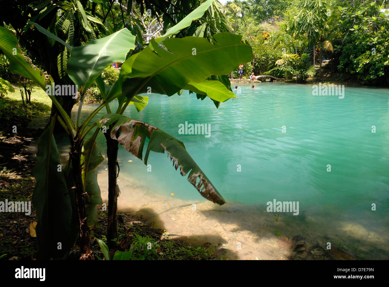 Swimmers in Mineral Pool at Blue Hole Garden Stock Photo - Alamy