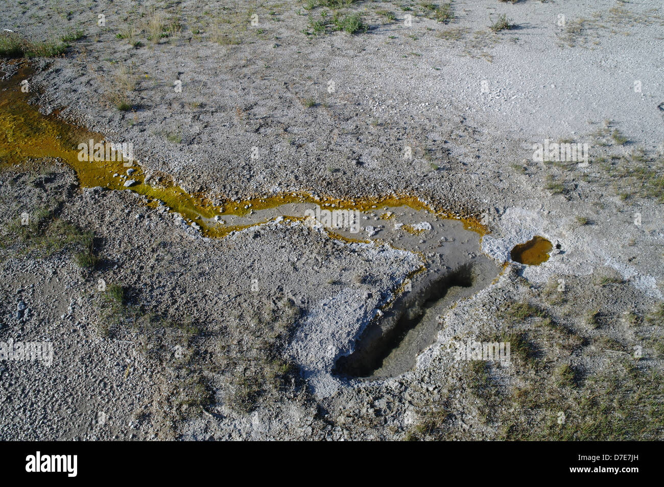 'Exclamation Point Geyser', with brown overflow stream crossing grey ...