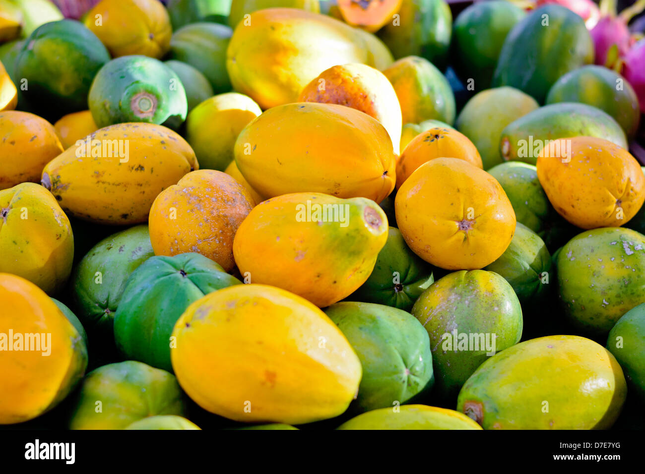 Mangoes for sale from a vendor at a local farmers market Stock Photo ...