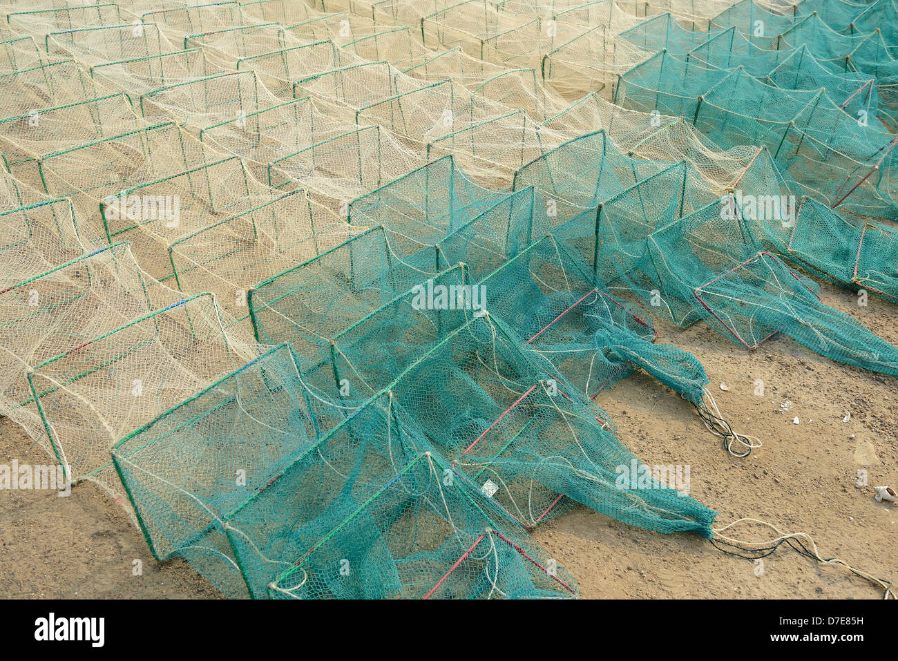 How Long Do Crab Cages Stay In The Water at Madison Calder blog