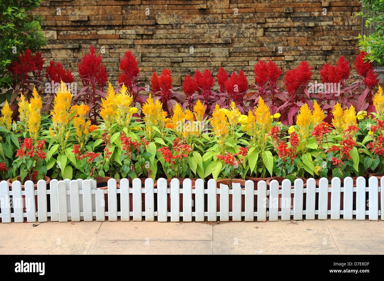 flower background ,natural texture Stock Photo - Alamy