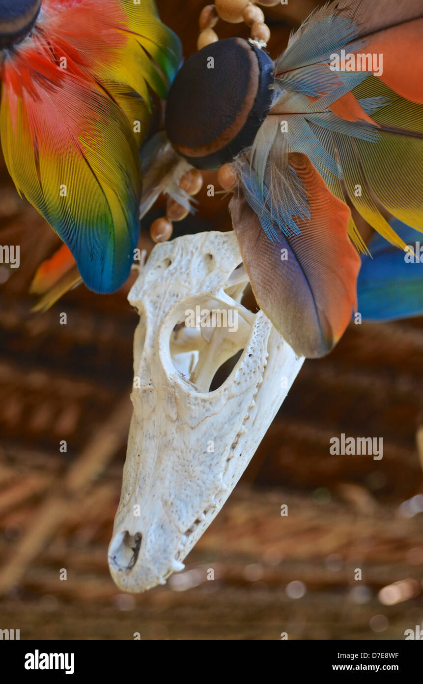 Medicine man tribe shop hi-res stock photography and images - Alamy
