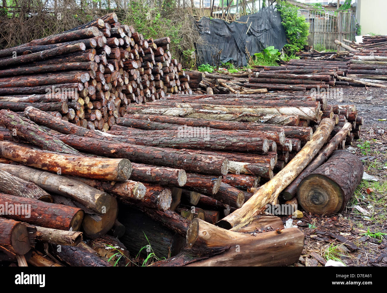 Dry wood pile hi-res stock photography and images - Alamy