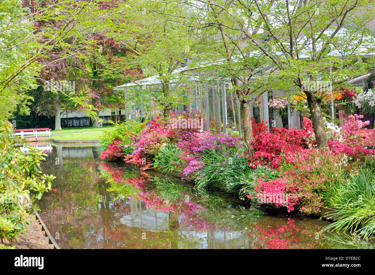 spring flowers and lake in park Stock Photo - Alamy