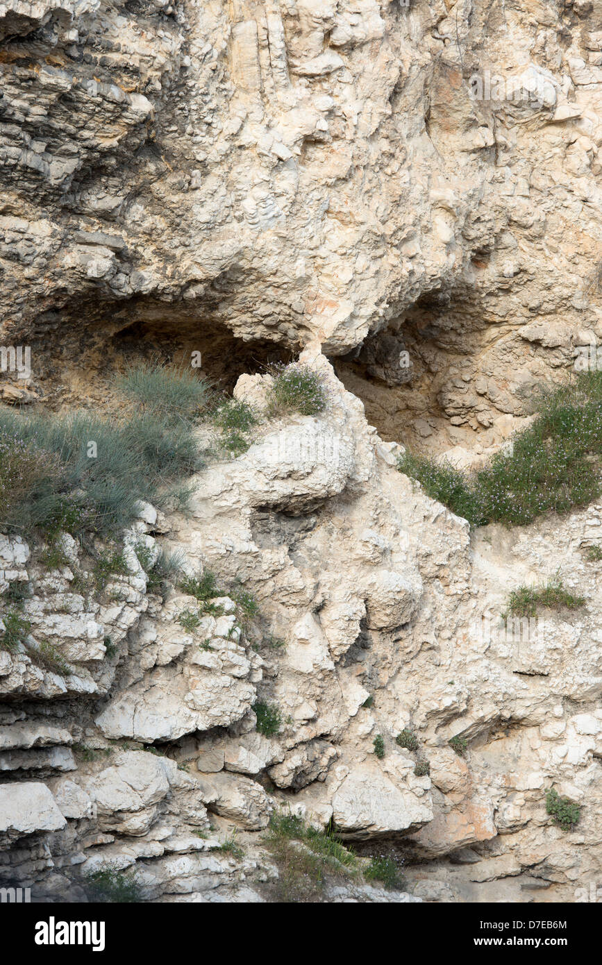 Golgotha skull hi-res stock photography and images - Alamy