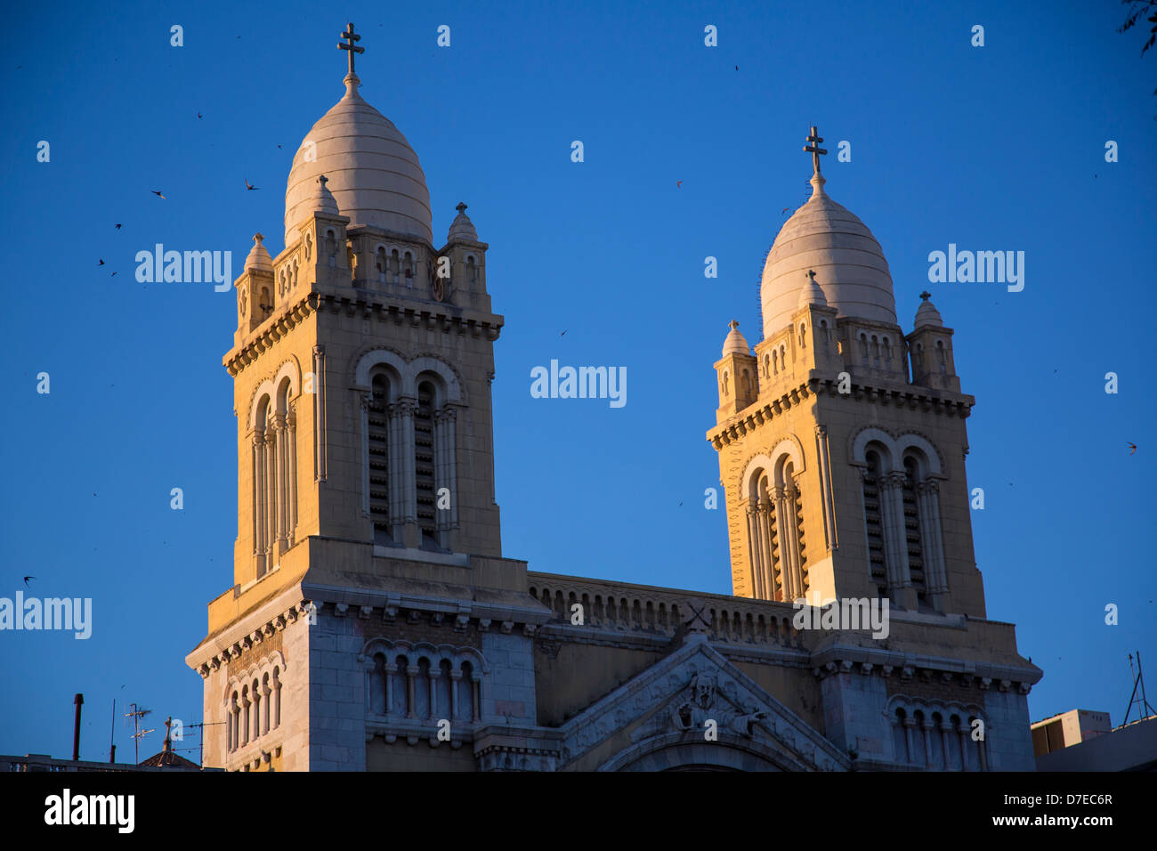 Cathedral of St Vincent de Paul, Tunis, Tunisia Stock Photo - Alamy