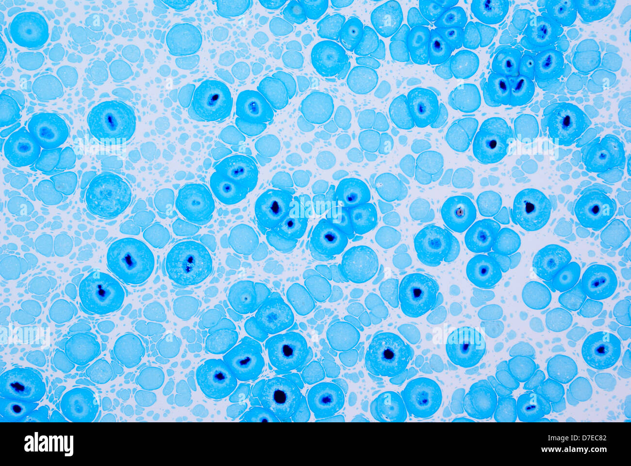 blue spots of paint as background Stock Photo - Alamy