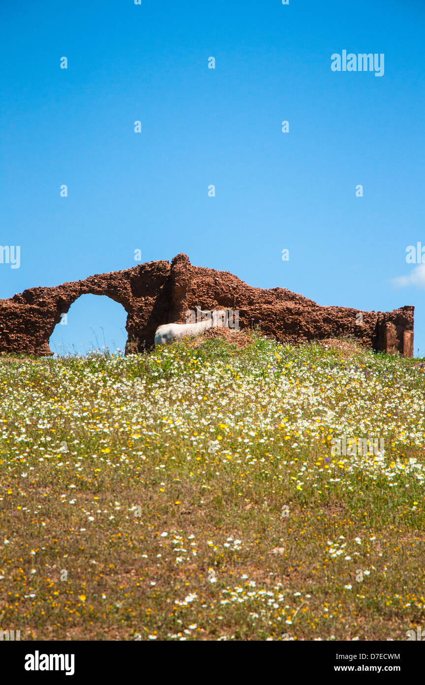 Traditional pise house hi-res stock photography and images - Alamy